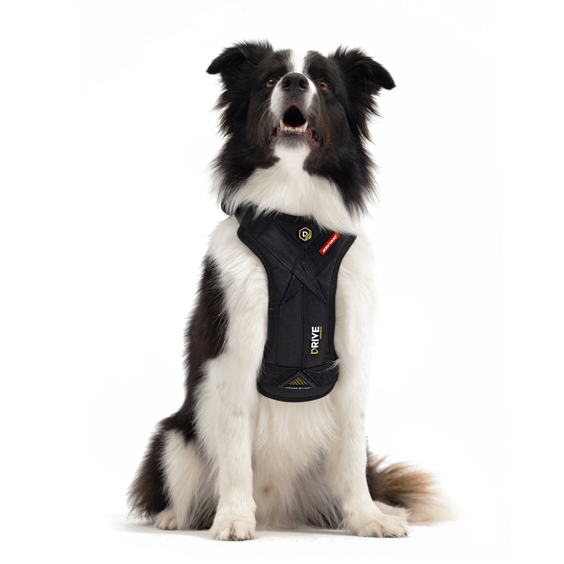 Drive Dog Car Harness | Crash Tested & Safety Certified