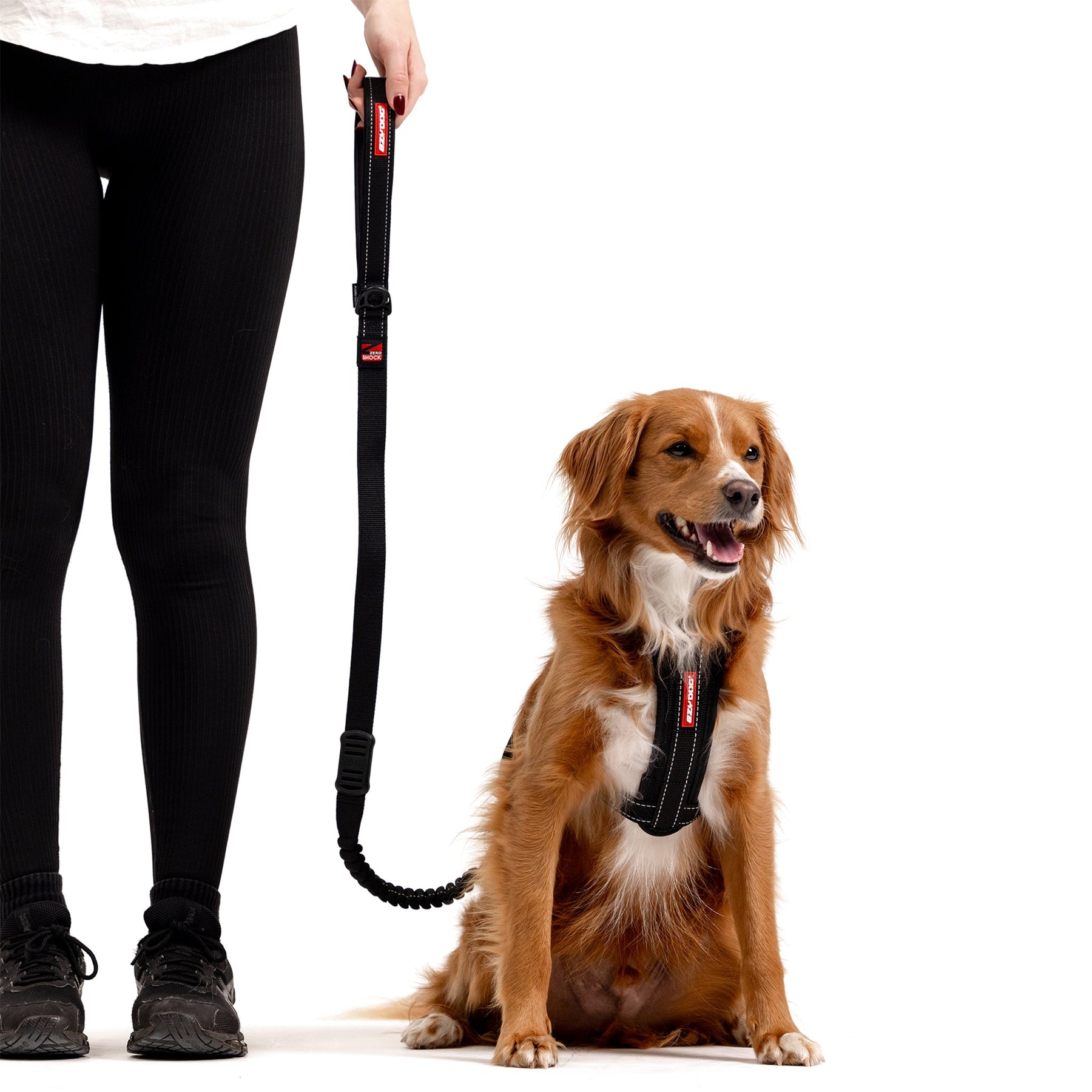 Dog Leads – Strong, Retractable & Long | Free UK Shipping