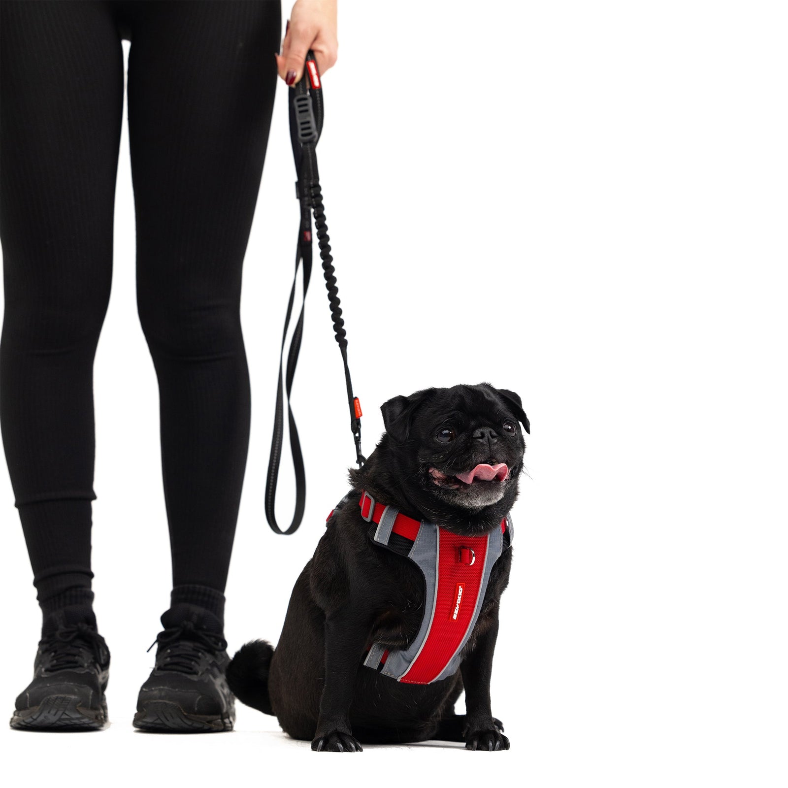 Dog Leads – Strong, Retractable & Long | Free UK Shipping