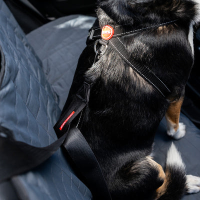 Dog Car Restraint | Adjustable Seat Belt Attachment UK