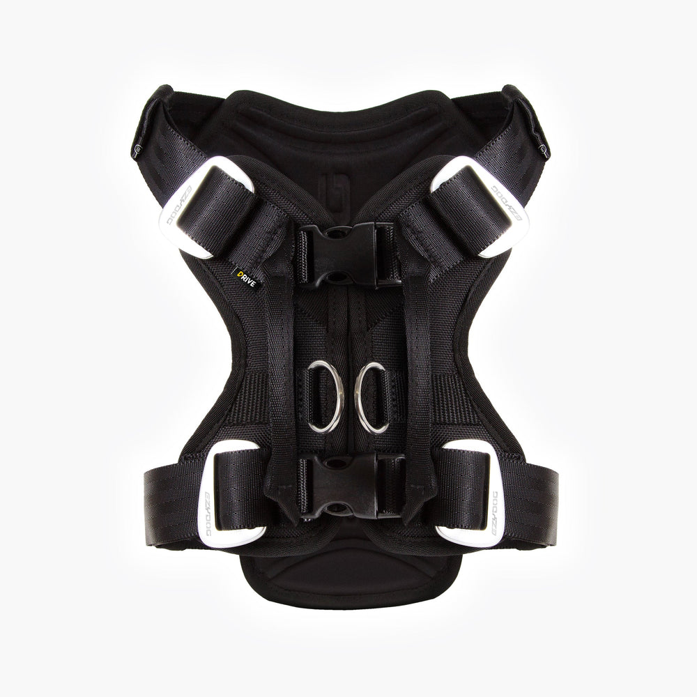Drive Dog Car Harness | Crash Tested & Safety Certified