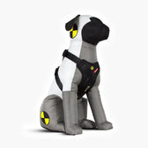 Drive Dog Car Harness | Crash Tested & Safety Certified