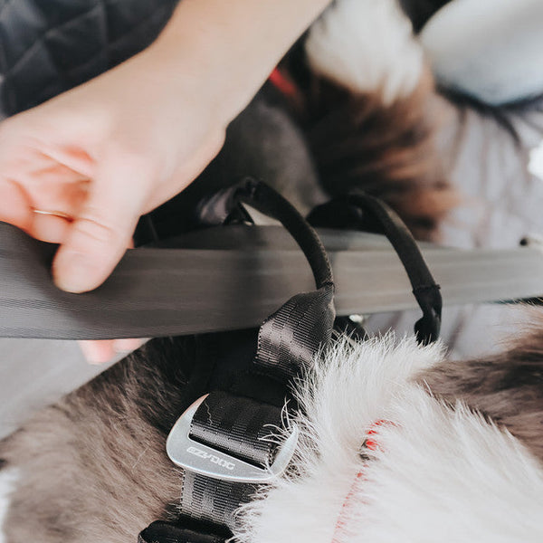 Drive Car Harness | Crash Tested & Safe for Travel